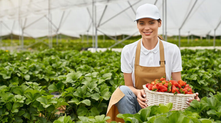 Seasonal Agricultural Program (SAP): Harvesting Opportunities in Canada ...
